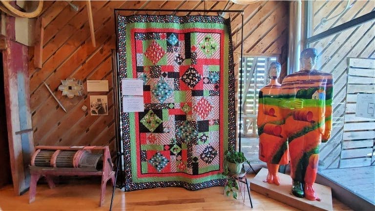 Frond Design Studios: A Quilt Shop Spotlight: Rona the Ribbiter