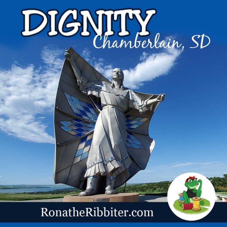 Rona, the Traveling Quilter Quilt Show | Rona the Ribbiter